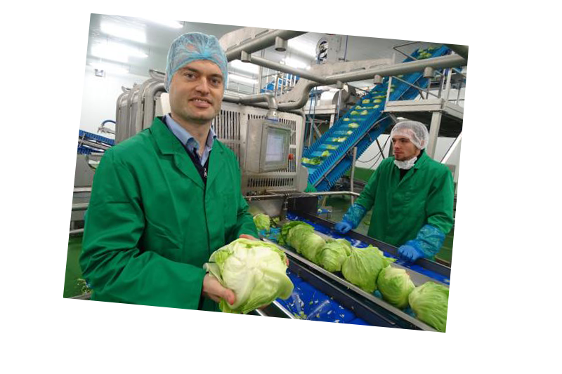 Roots | Kramer Food Family